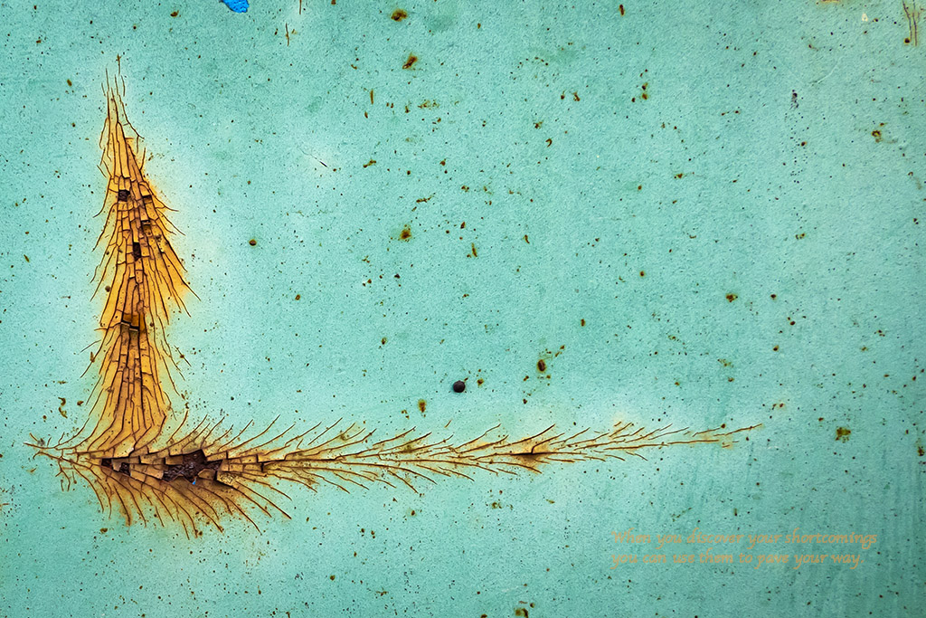 Patriotism -> Matriotism | System Humanity