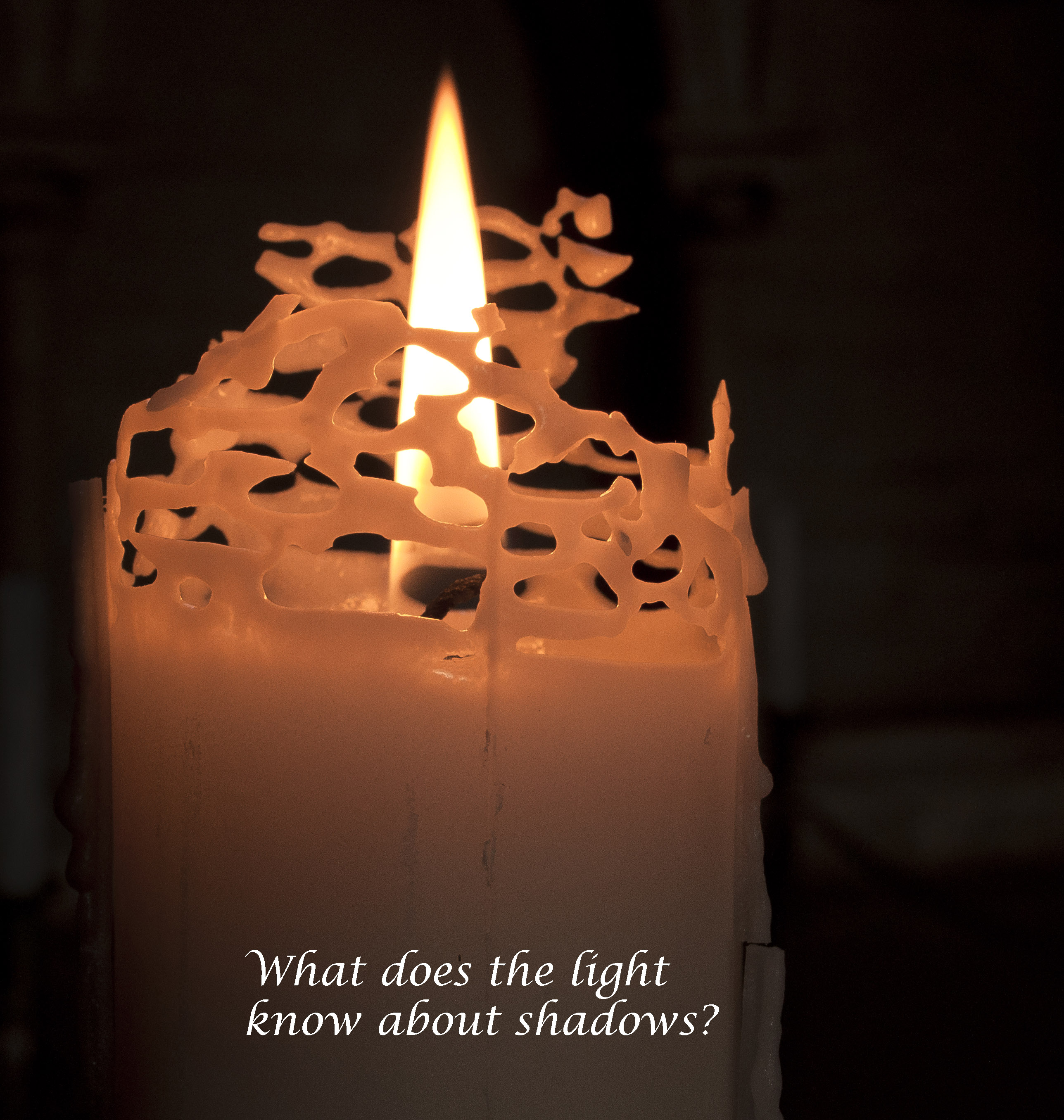 The Shadow of Truth | System Humanity